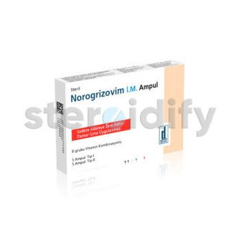 Norogrizovim Vitamin B Complex