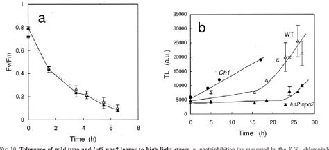 Figure 10 From The Effect Of Zeaxanthin As The Only Xanthophyll On The