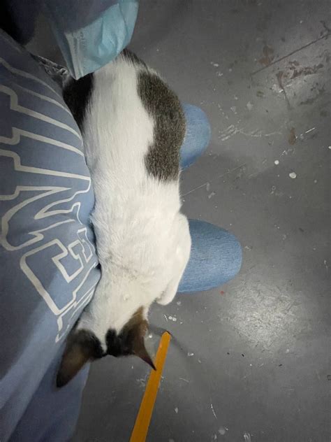 Photo 6258160932941313346 Y Hosted At ImgBB ImgBB