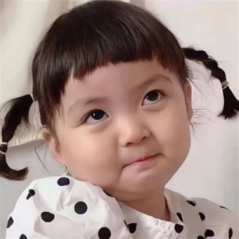 Rohee Sticker Maker