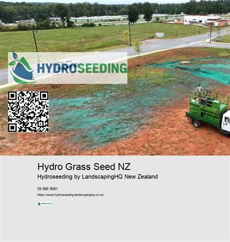 Hydro Grass Seed Nz