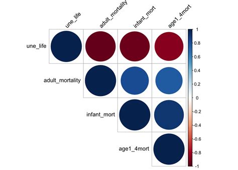 Exploratory Data Analysis