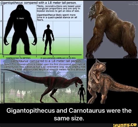 Gigantopithecus Memes Best Collection Of Funny Gigantopithecus Pictures On Ifunny Gigantopithecus Memes Best Collection Of Funny Gigantopithecus Pictures On Ifunny