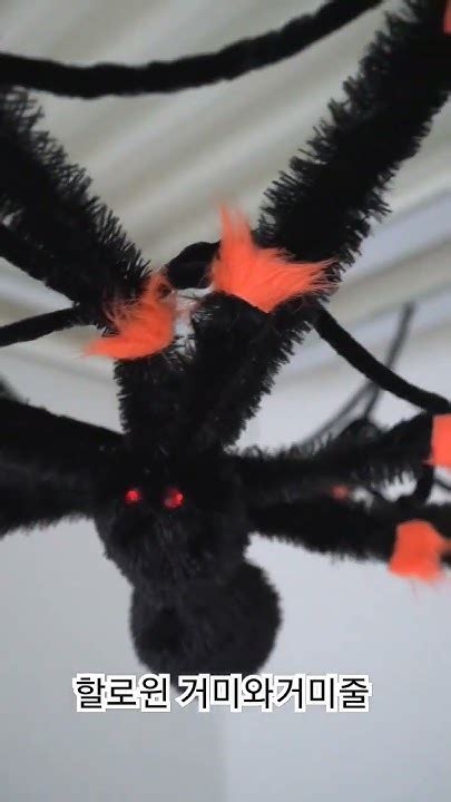 할로윈 거미와거미줄 할로윈데이 할로윈소품 Youtube