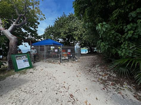 Something Cool Is Happening At Cinnamon Bay