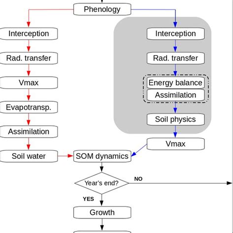 Flowchart Of The Main Daily Simulation Loop In Standard Lpj Guess Red