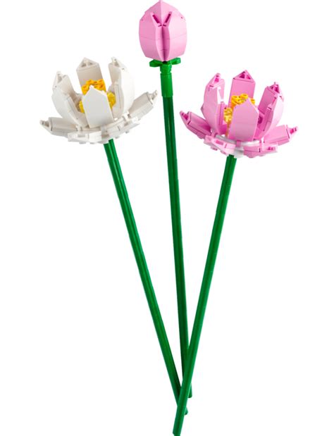 Best Flower Lego Sets This Year Our Top 15 Picks The Mary Sue