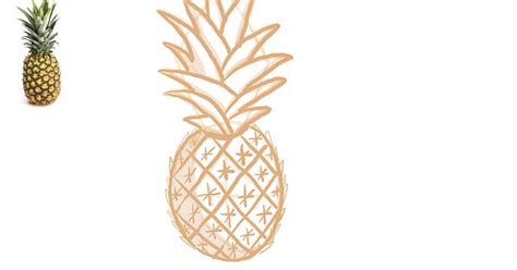 Pineapple Album On Imgur