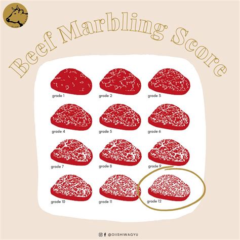 Oiishi Wagyu What Is Beef Marbling Score Bms Wagyu Facebook