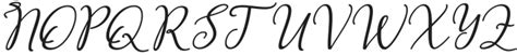 elation script italic regular otf 400 font script elegan what font is