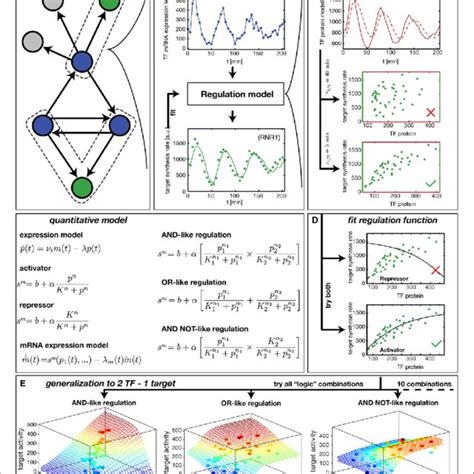 Reconstruction Of Regulation Functions A We Select A Target Gene