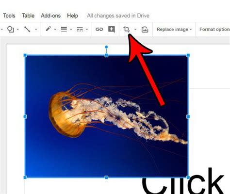 How To Crop A Picture In Google Slides Solve Your Tech