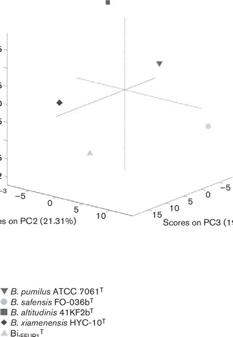 A Ftir Atr Spectra Of Strain Bi Ffup1 T And Closely Related B