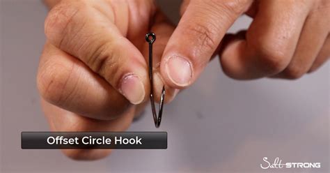 The Best Live Bait Hooks For Catching Redfish