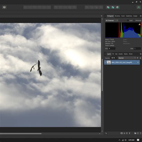 Histogram Wont Show Levels Of Marquee Selected Areas V2 Bugs Found