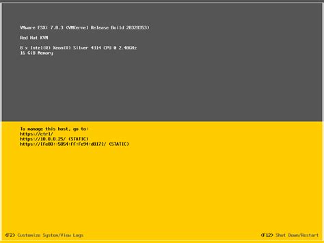 vmware esxi 7 初期設定 esxi shell へアクセス server world