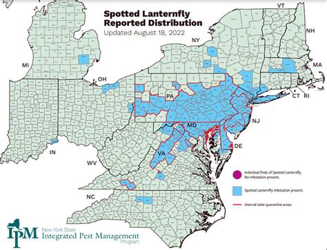 Lantern Fly Map At Charles Gunn Blog