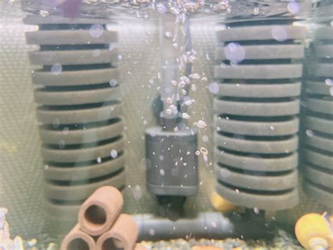 어항 여과기 설치 할때 스펀지 여과기 장단점 정리 네이버 블로그