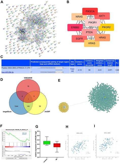 Ppi Network Analysis And Mirna Target Gene Prediction A Ppi Network