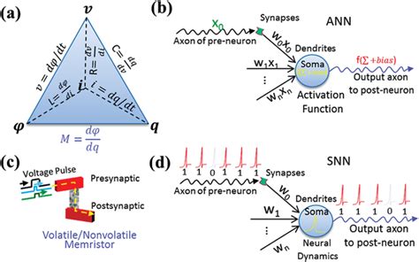 The Volatile And Nonvolatile Memristor To Operate The Anns And Snns A