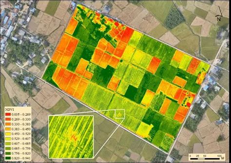 Drones For Crop Scouting Detecting Pests And Stress From Above