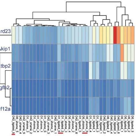 hierarchical clustering analysis of five common differentially