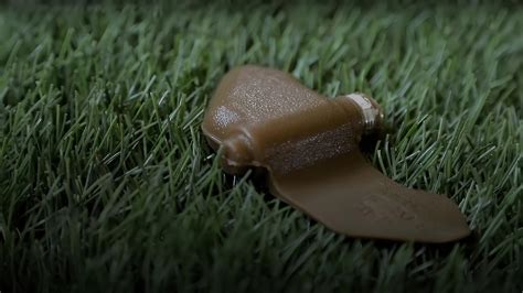 Служба безпеки України