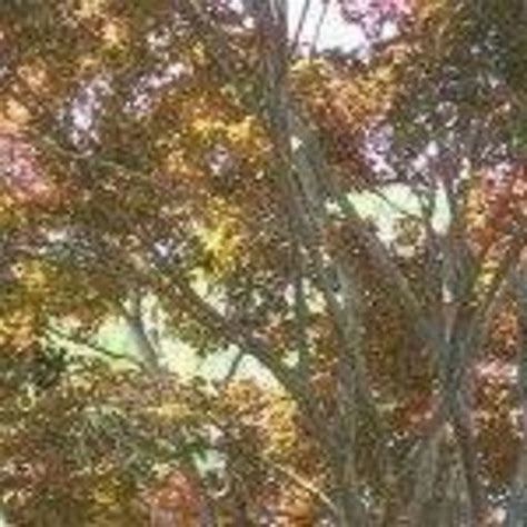 Ramesh Marhatta Ph D Wesleyan University Middletown Department Of Physics Research Profile