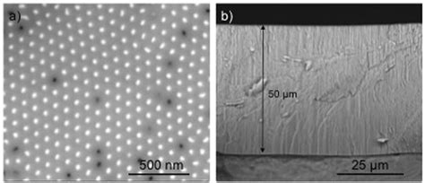 A Top View Sem Images Showing The High Density Of Fe Nanowire Array