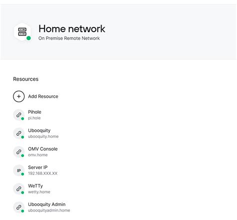 Setting Up Pihole Nginx Proxy And Twingate With Openmediavault