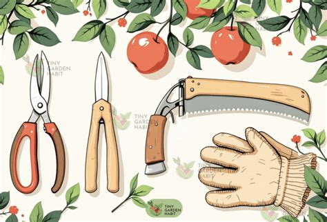 Pear Tree Pruning Made Easy A Beginners Guide