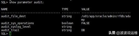 Oracle 审计日志分享一份标准的oracle数据库审计启停规范，值得收藏 Csdn博客