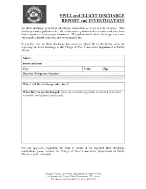 Ds Example Fill Out Sign Online DocHub