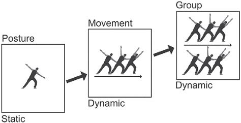 figure 2 from eeg frequency tagging reveals the integration of form and