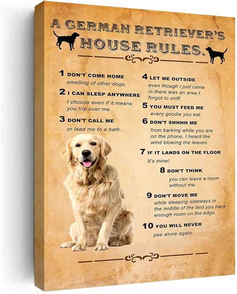 Dog Rules Canvas