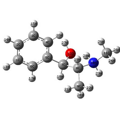 The Full Optimized Structure Of L1 Pseudoephedrine Complex Download Scientific Diagram