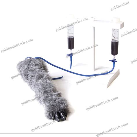 Durable Intravenous Injection Simulator Sale Or Rent Near Me Gold