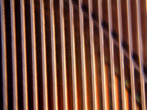 4 Ways To Master Sex Mear Me Without Breaking A Sweat Pol Scientific