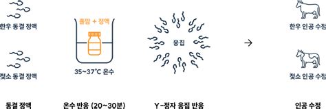 누리사이언스