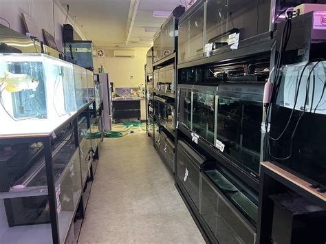 アジアアロワナ専門店ラフレシア On Twitter 何時間もかけて遠方からのご来店はやっぱり嬉しいですよね。だからこそショップとして常に在庫を揃えるのはとても大切な事だと思う。当たり前の