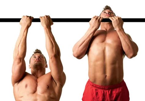 Подтягивания обратным хватом польза и недостатки какие мышцы работают