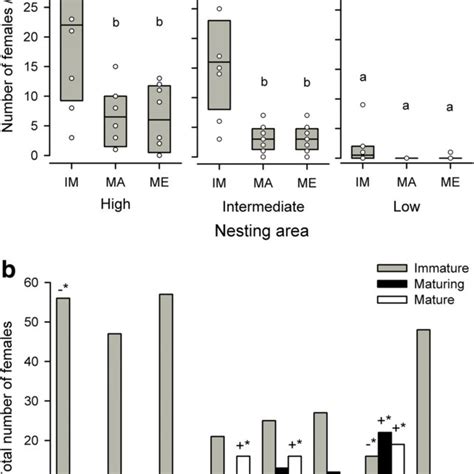 Scute Patterns And Shell Morphology Of The 7 Sea Turtle Species