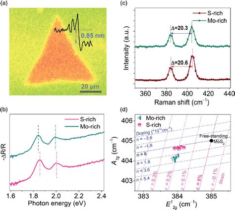 A Microscopy Image Of The Cvd Grown Mos 2 On A Sio 2 Si Substrate