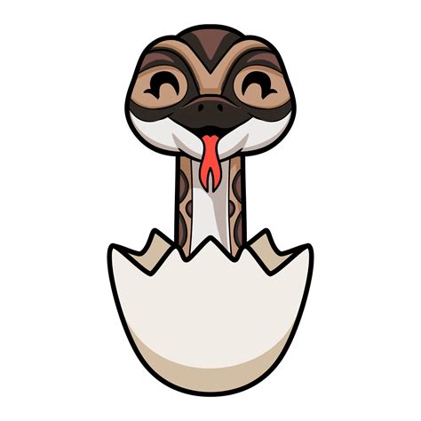 Cute Python Molurus Bivittatus Cartoon Inside An Egg 20126767 Vector