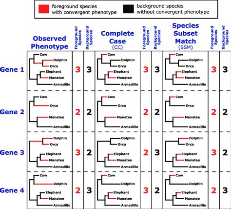 examples of toy binary phenotypes permulated using the cc method or the