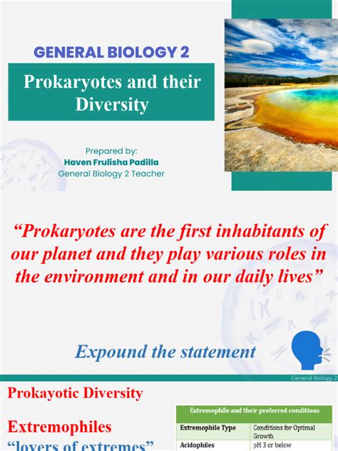 Gb2 42 Prokaryotes Diversity Pdf Bacteria Biofilm