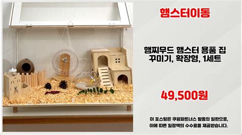 햄스터이동 추천 Youtube