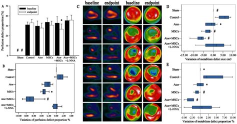 A The Perfusion Defect Proportion B The Variation In Perfusion