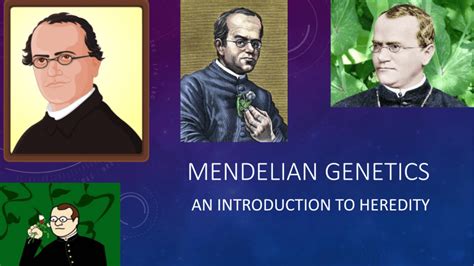 Mendelian Genetics Introduction To Heredity