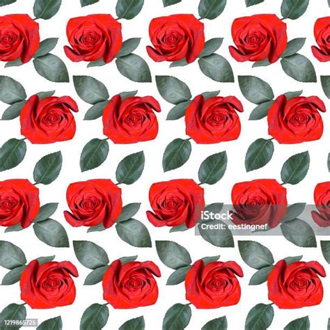 흰색 배경에 빨간 장미 꽃과 녹색 잎이있는 원활한 패턴 끝없는 화려한 꽃 질감 래스터 일러스트 0명에 대한 스톡 사진 및 기타 이미지 Istock